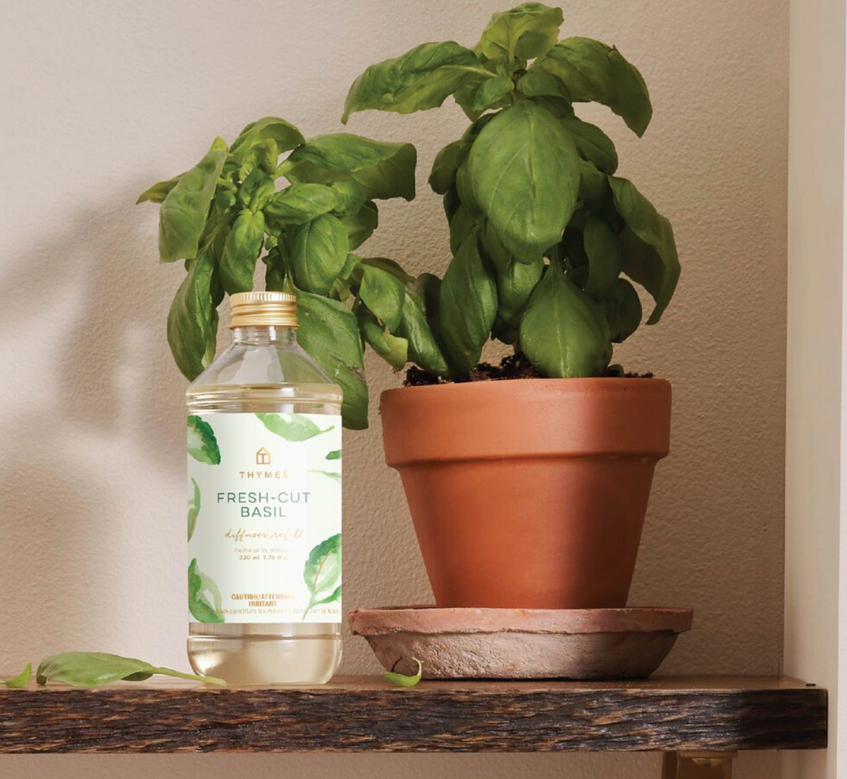 Fresh Cut Basil Reed Diffuser Refill – The Prairie Mercantile